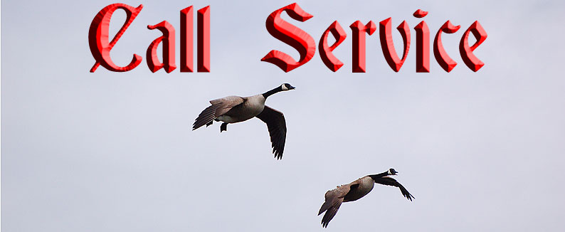 Call Repair for the Original Basin Calls